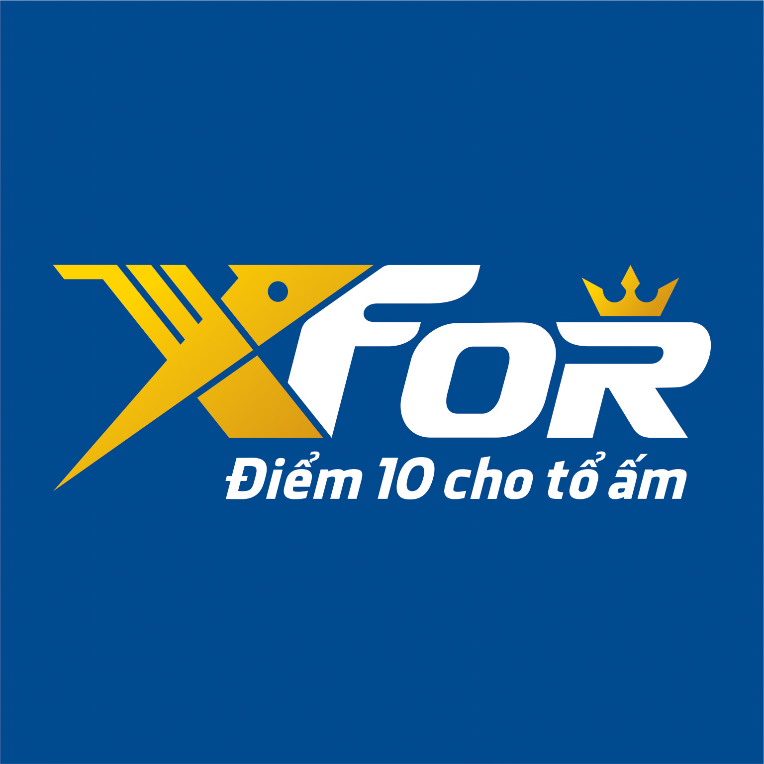 Công ty cổ phần XFOR toàn cầu
