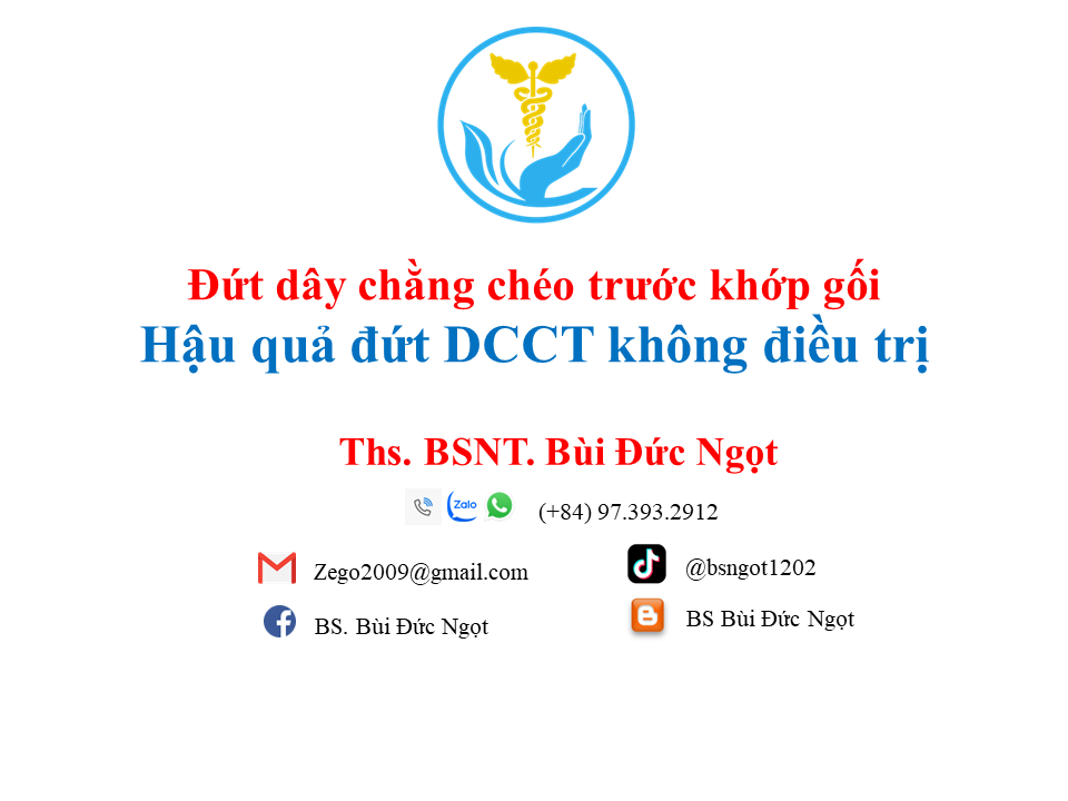 Giải phẫu khớp háng