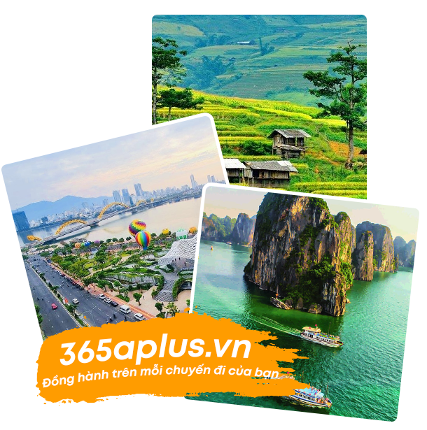 Du lịch 365APLUS TRAVEL