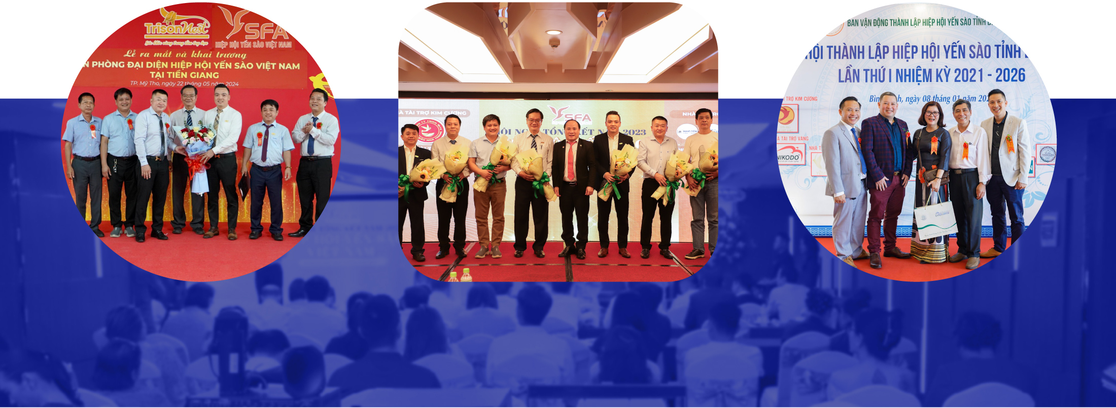 Giới Thiệu Về Công Ty TNHH Nikodo