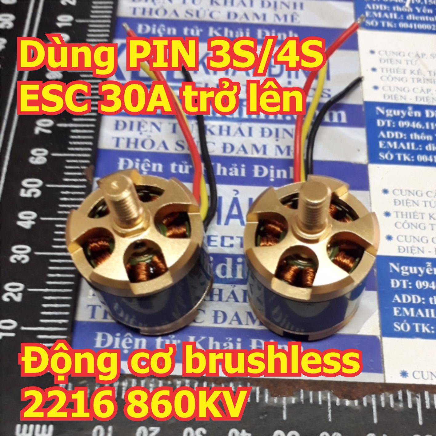 Đện tử Khải Định - Thỏa sức đam mê