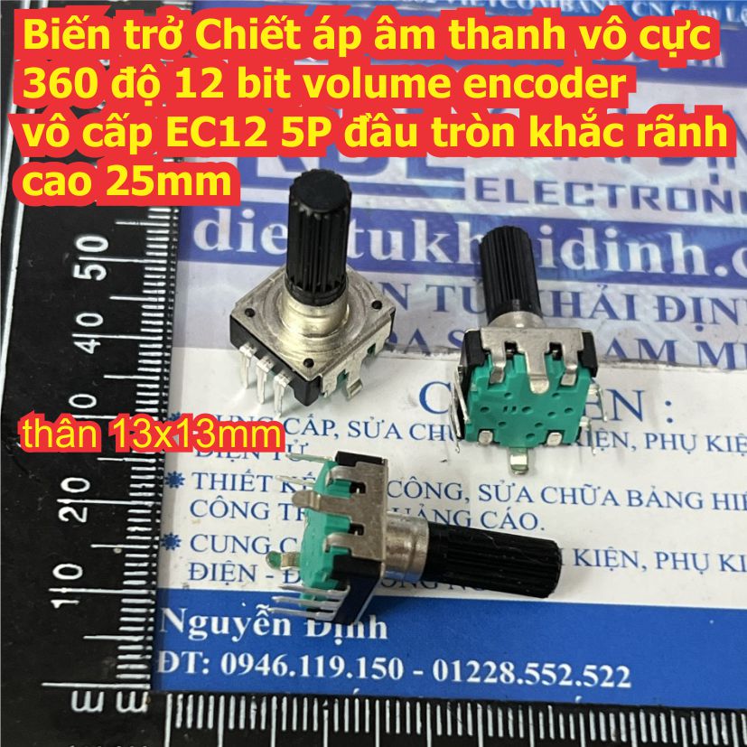 Đện tử Khải Định - Thỏa sức đam mê