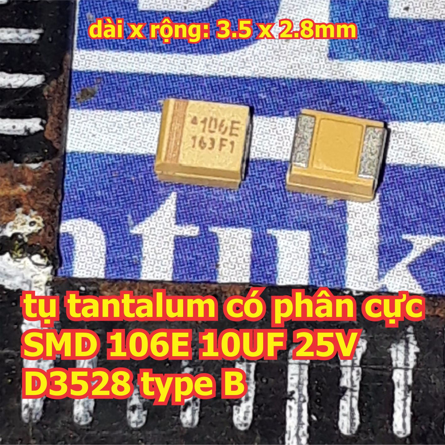Đện tử Khải Định - Thỏa sức đam mê