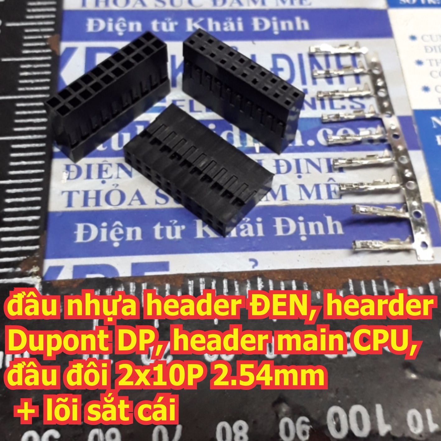 Đện tử Khải Định - Thỏa sức đam mê