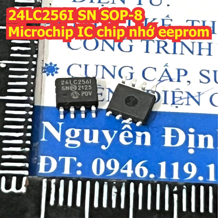 Đện tử Khải Định - Thỏa sức đam mê