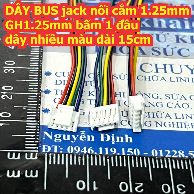 Đện tử Khải Định - Thỏa sức đam mê