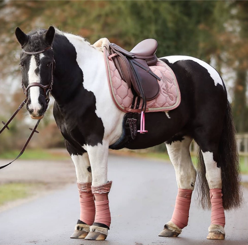 Hessian Equestrian - Royal Equestrian Apparel & Accessories