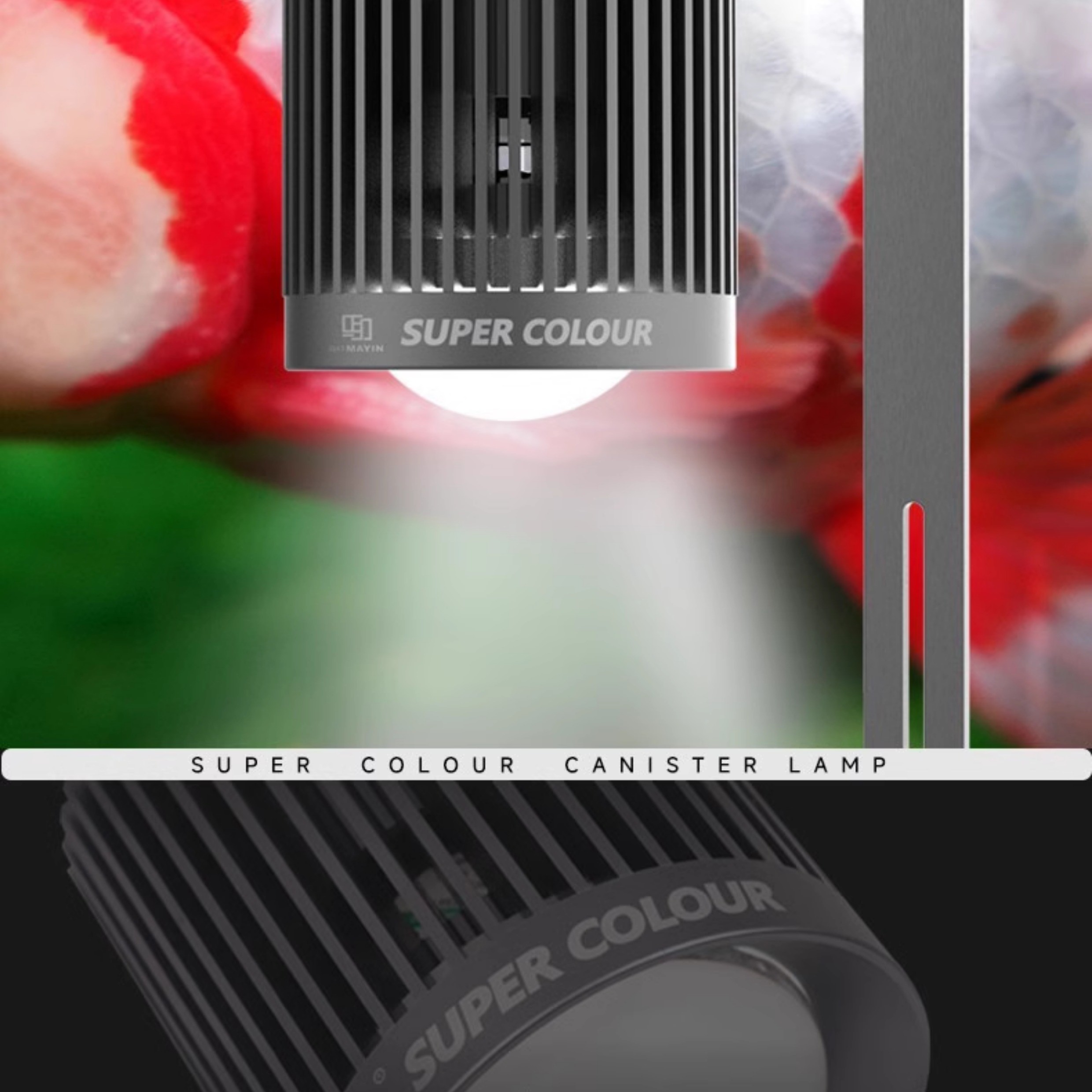 Đèn Rọi Mayin Super Color – Giải Pháp Chiếu Sáng Hoàn Hảo Cho Bể Cá Cảnh