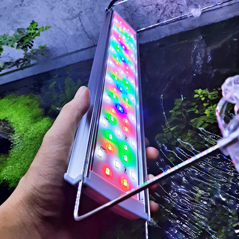 Đèn LED thủy sinh COCO WRGB (R Series) đánh màu cây cá cực đẹp