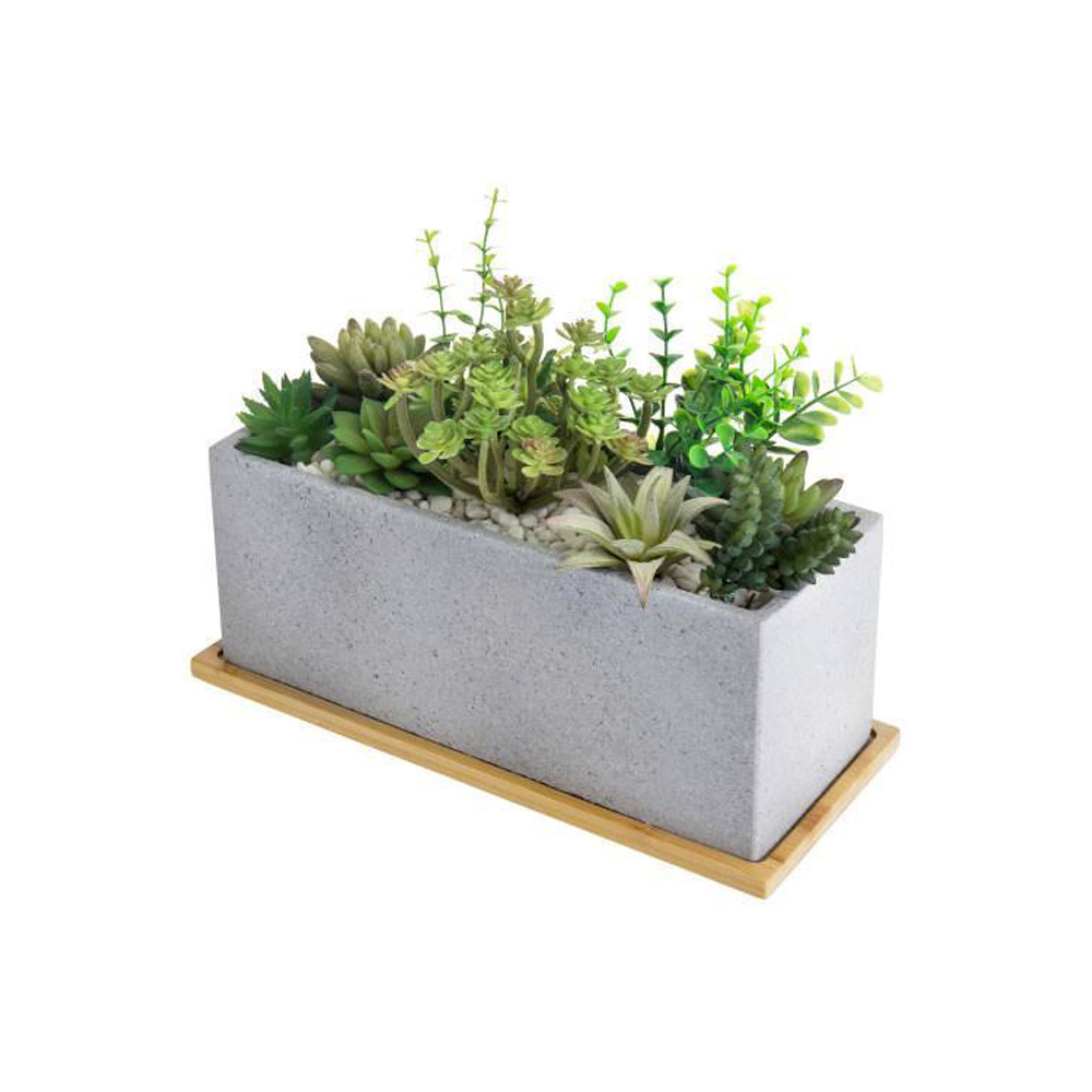 Chậu xi măng chữ nhật - Chậu cây mang phong cách hiện đại