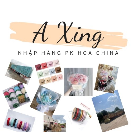 Hua Xing Fu_Offical Company