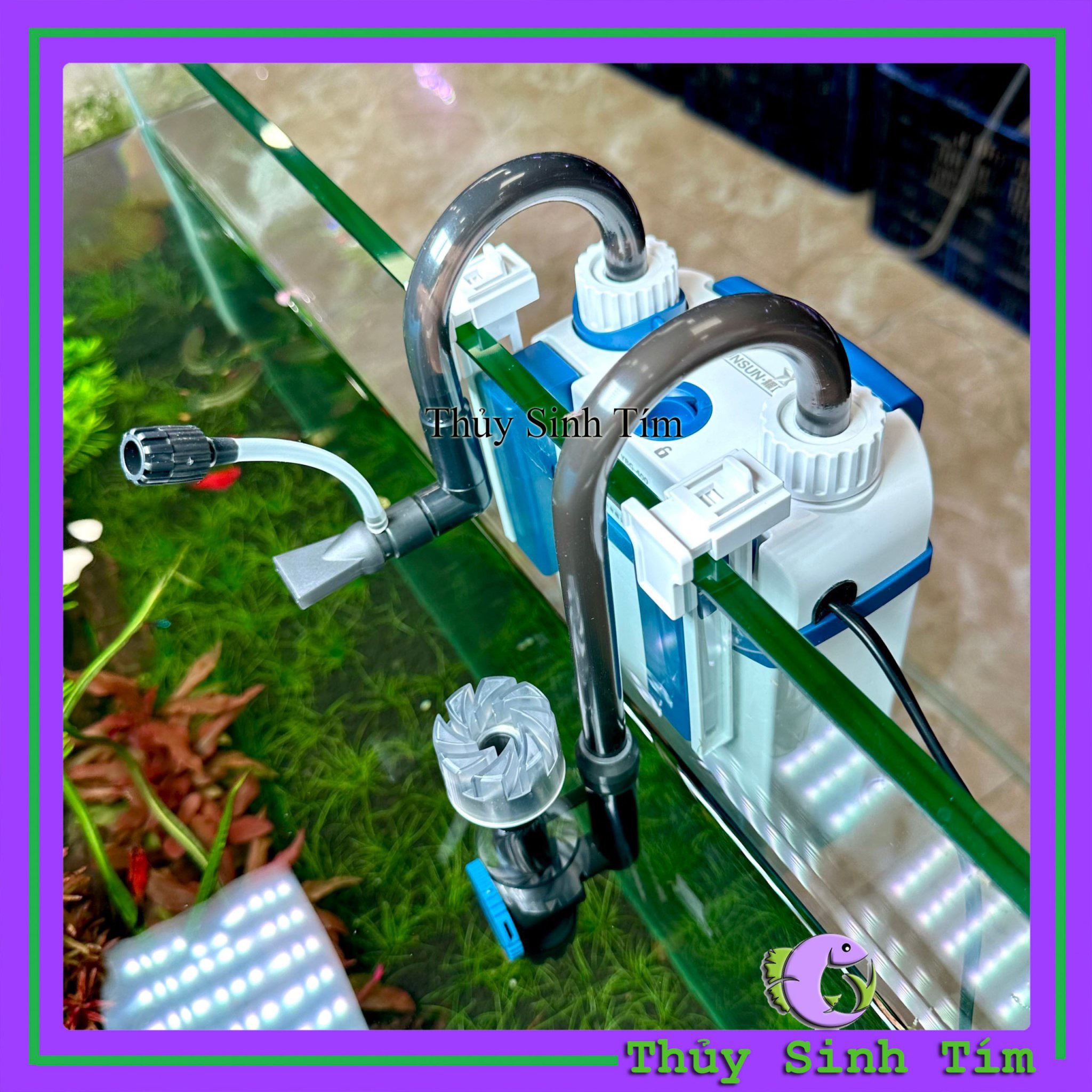 Máy Lọc Treo SunSun YBG | Thủy Sinh Tím