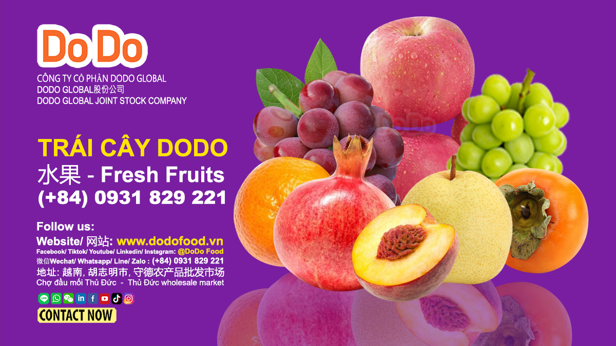 CÔNG TY CỔ PHẦN DODO GLOBAL NHẬP KHẨU TRÁI CÂY | DODO FOOD