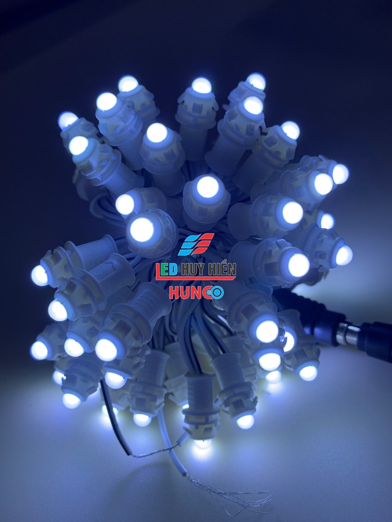 Led đúc F5 12v | Led quấn cây | led trang trí ngoài trời huyhien.vn