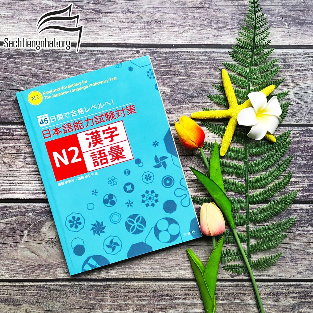 45 Nichikan De Goukaku Reberu e- Nihongo Noryoku Shiken Taisaku N2 Kan