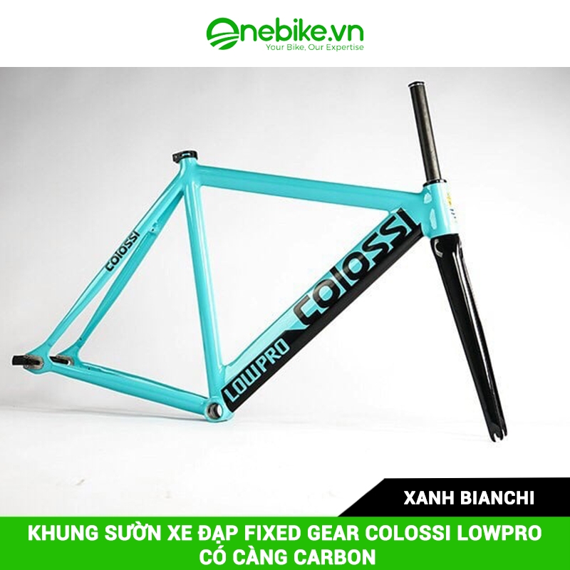 Khung sườn xe đạp Fixed Gear COLOSSI LOWPRO có càng carbon( đủ chén cổ ...