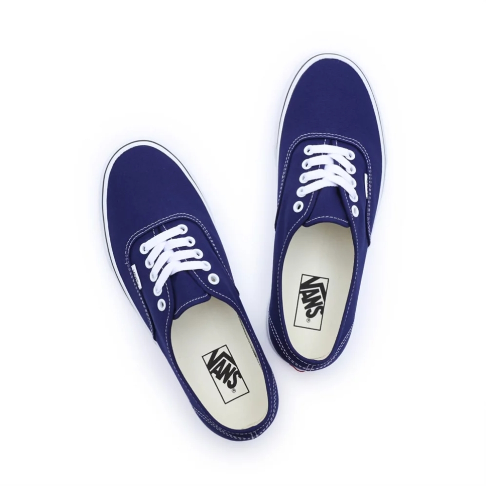 VANS Việt Nam | Giày VANS AUTHENTIC COLOR THEORY VN0009PVBYM