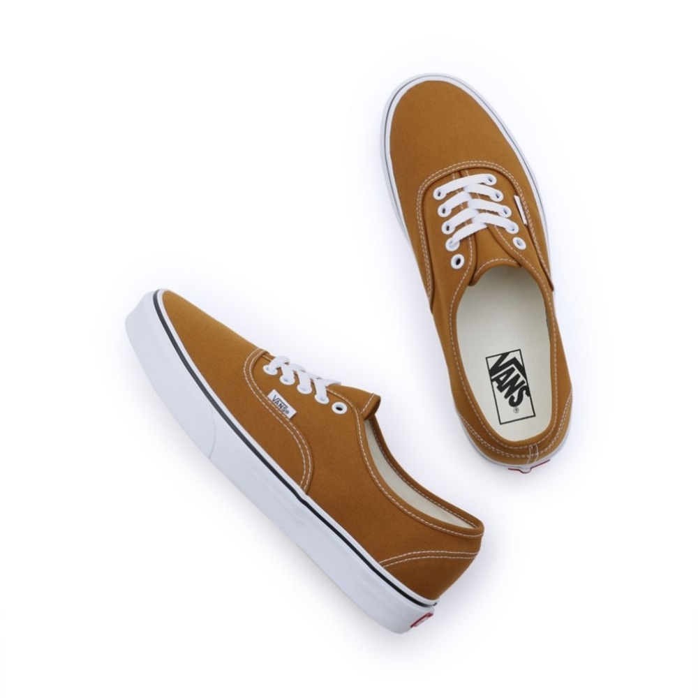 VANS Việt Nam | Giày VANS AUTHENTIC COLOR THEORY VN0009PV1M7