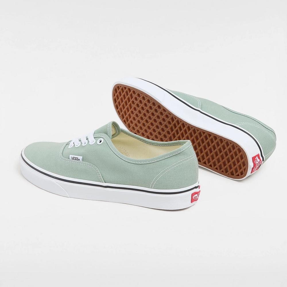 VANS Việt Nam | Giày VANS AUTHENTIC COLOR THEORY GREEN VN000BW5CJL