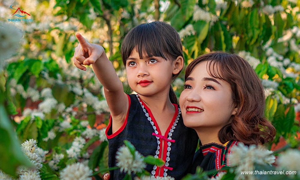 Tour Tây Nguyên mùa hoa cafe - Lễ Hội hoa cafe Tây Nguyên năm 2023 ...