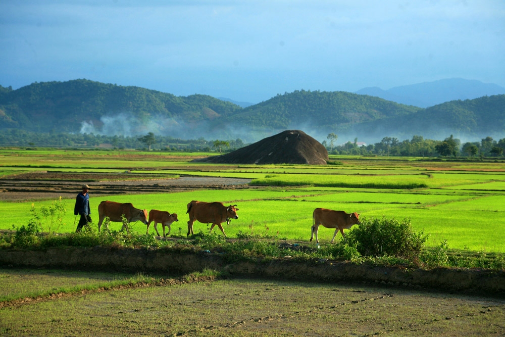 Núi đá voi Yang Tao - Tour Tây Nguyên 4N3Đ - THÁI AN TRAVEL