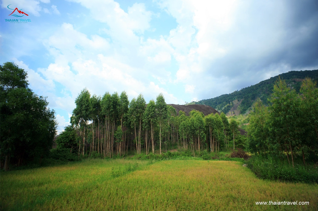 Núi đá voi Yang Tao - Tour Tây Nguyên 4N3Đ - THÁI AN TRAVEL
