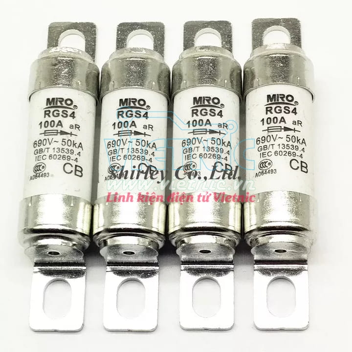 CẦU CHÌ RGS4 100A | www.vietnic.vn