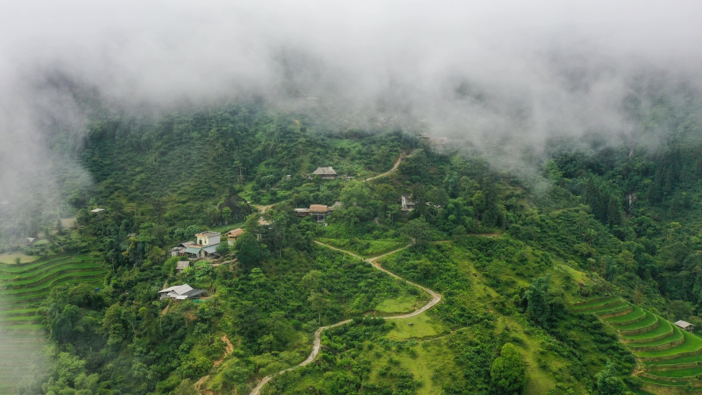 TRÀ XANH SHAN 1 TÔM 2 LÁ (Hút chân không 20 gói 10gram) Fìn Hò Trà