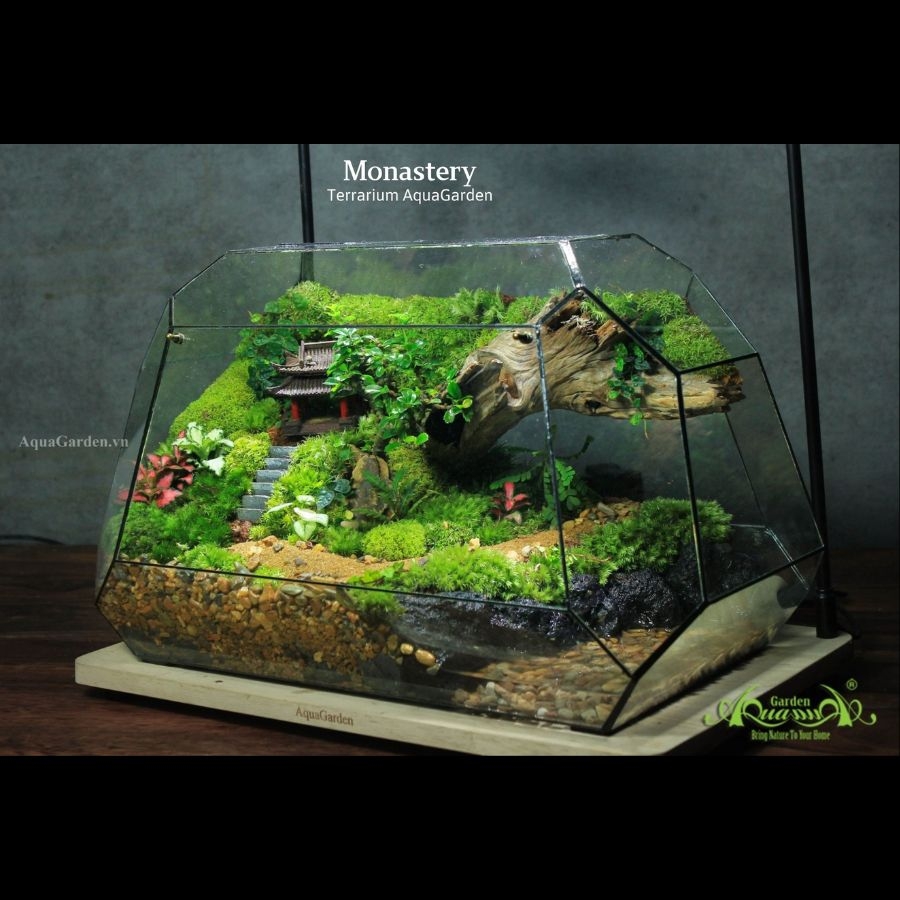 Monastery | Terrarium Signature AquaGarden | Mẫu Terrarium Đẹp | quatangcaycanh