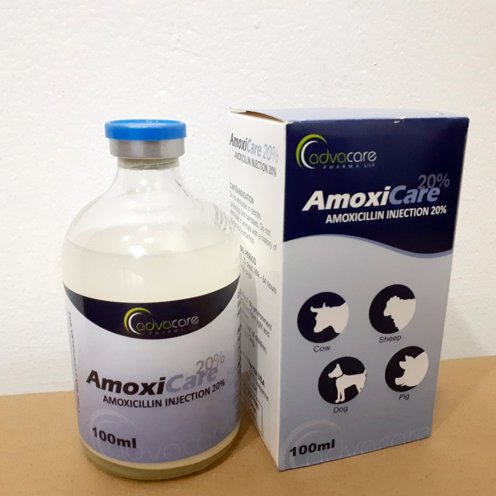 AmoxiCare - Kháng sinh chống nhiễm khuẩn Amoxicillin 20% chai 100ml