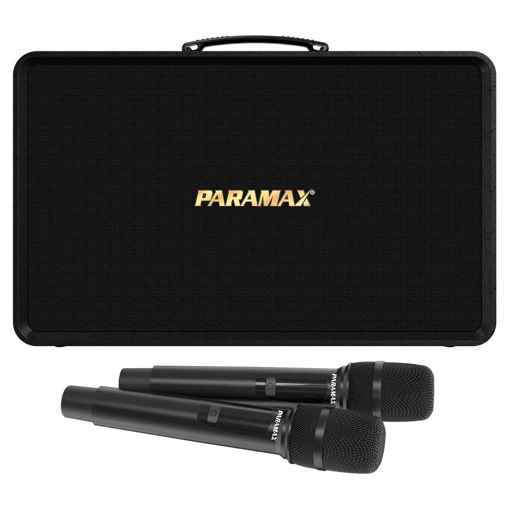 Loa karaoke xách tay PARAMAX Symbo 8 Bass đôi 20cm 300W