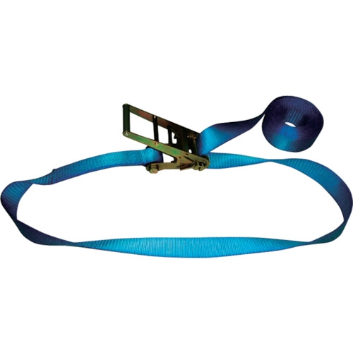Tesac Việt Nam | TESAC Lashing Belt (Ratchet Buckle Type) Endless ...