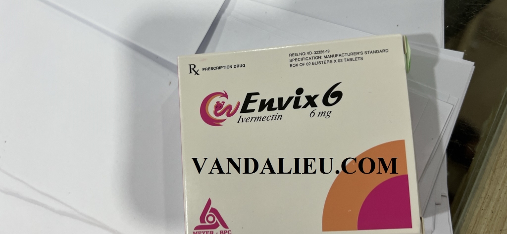 THUỐC ĐIỀU TRỊ GIUN SÁN ENVIX 6 ( 2 VỈ X 2 VIÊN ) CÔNG TY TNHH KINH DOANH TỔNG HỢP HOÀNG DŨNG