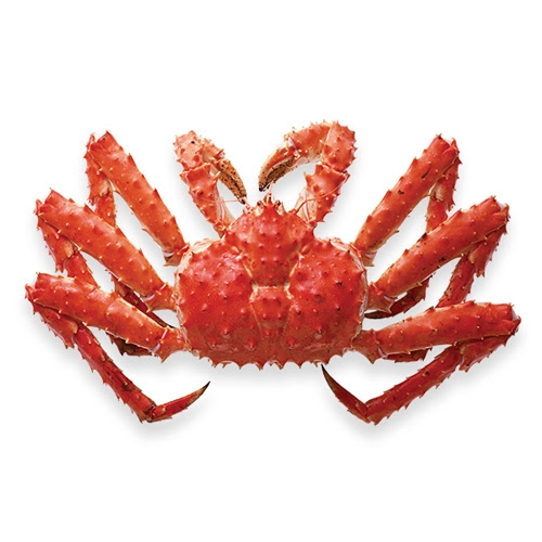 Cua Hoàng Đế Alaska 10kg| giá cua king crab 5kg| giá cua king crab ALOFOOD