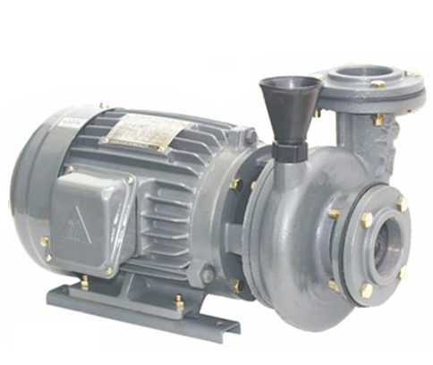 Bơm ly tâm dạng xoáy đầu gang NTP Nation Pump Model HVP280-13.7 205