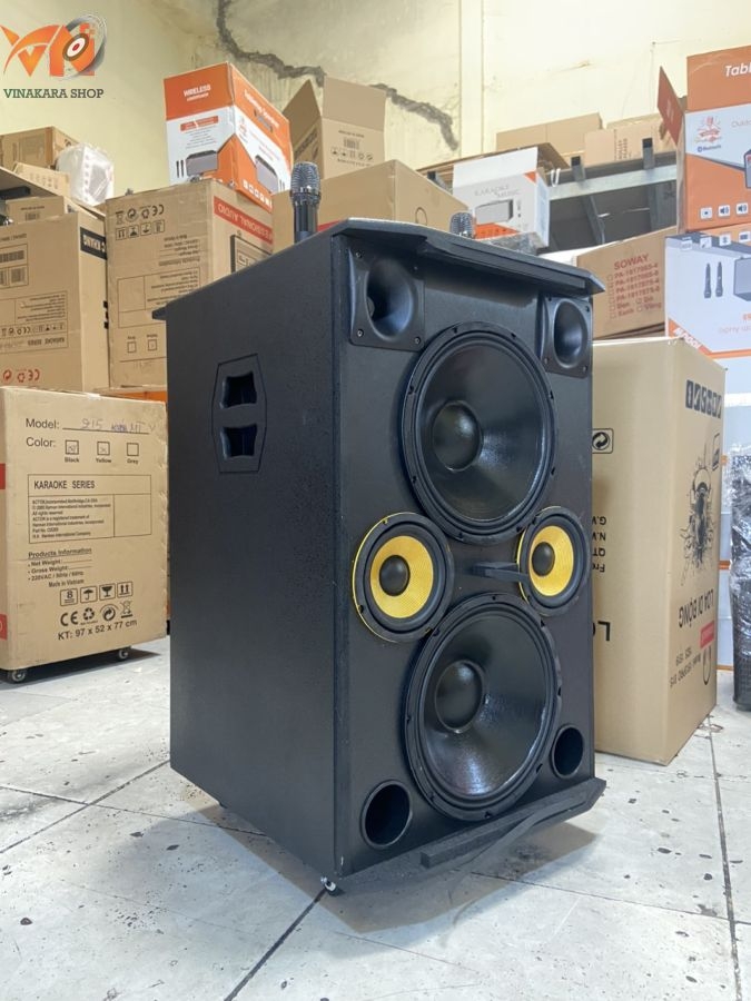 Loa kéo mạch bass 30 đôi cao cấp 2 bass,2 Loa trung,2 loa treble , công suất 800w | Vinakara.com