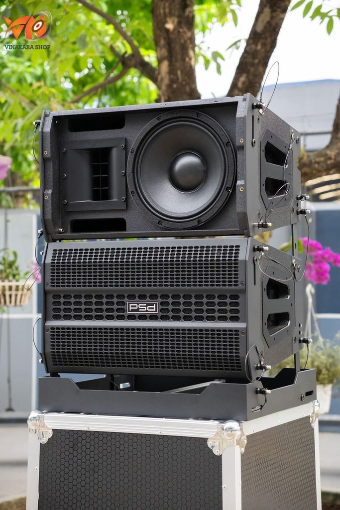 Loa Line Array 30 PSD P1037, bass 25cm, 650w - Hàng chính hãng ...