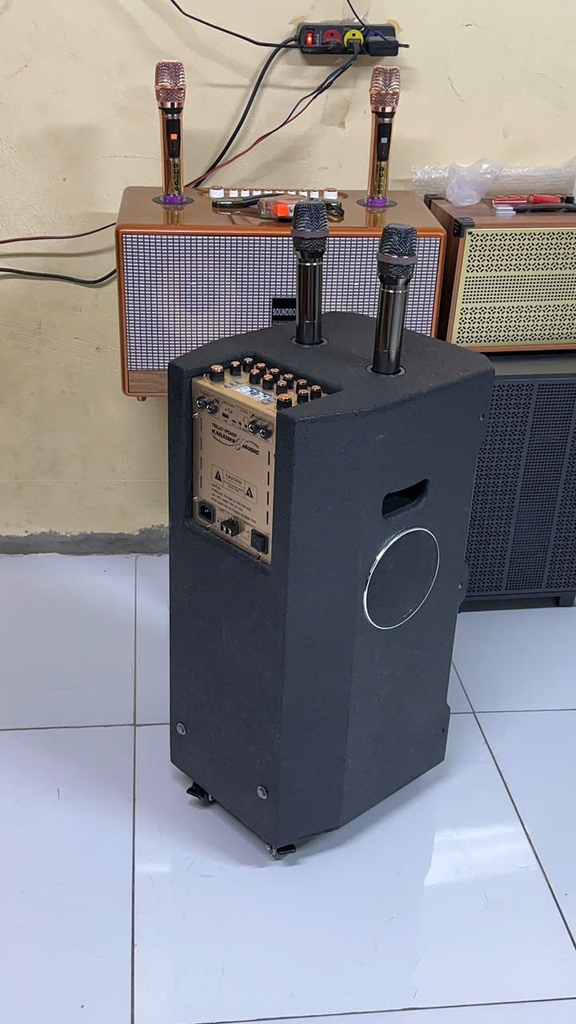 Loa kéo di động Soundbox S300 , 2 Bass 25 ,Công suất 980W | Vinakara.com