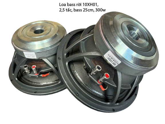 Loa bass rời 10XH01, 2,5 tấc, bass 25, 300w từ 170 coil 65 | Vinakara.com