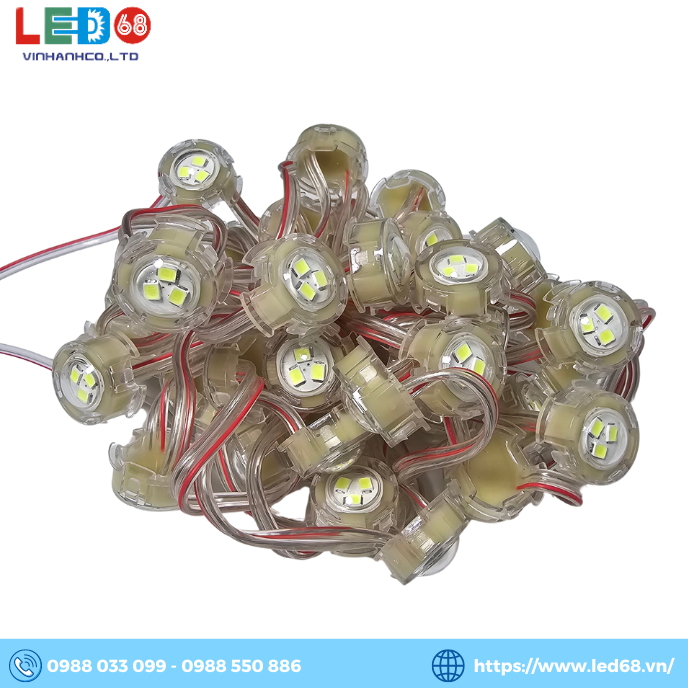 LED F20 Đơn Sắc chuyên dụng cho bộ chữ ngoài Trời | LED68 VINHANH