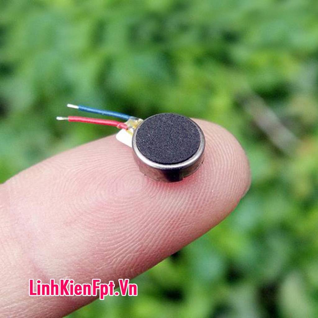 Động cơ rung điện thoại mini 3-5V | linhkienfpt