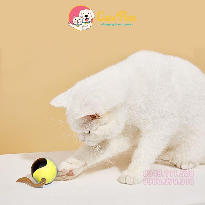 Đồ chơi cho Mèo Bóng vờn mèo thông minh Magic Ball Cutepets - Pet shop ...
