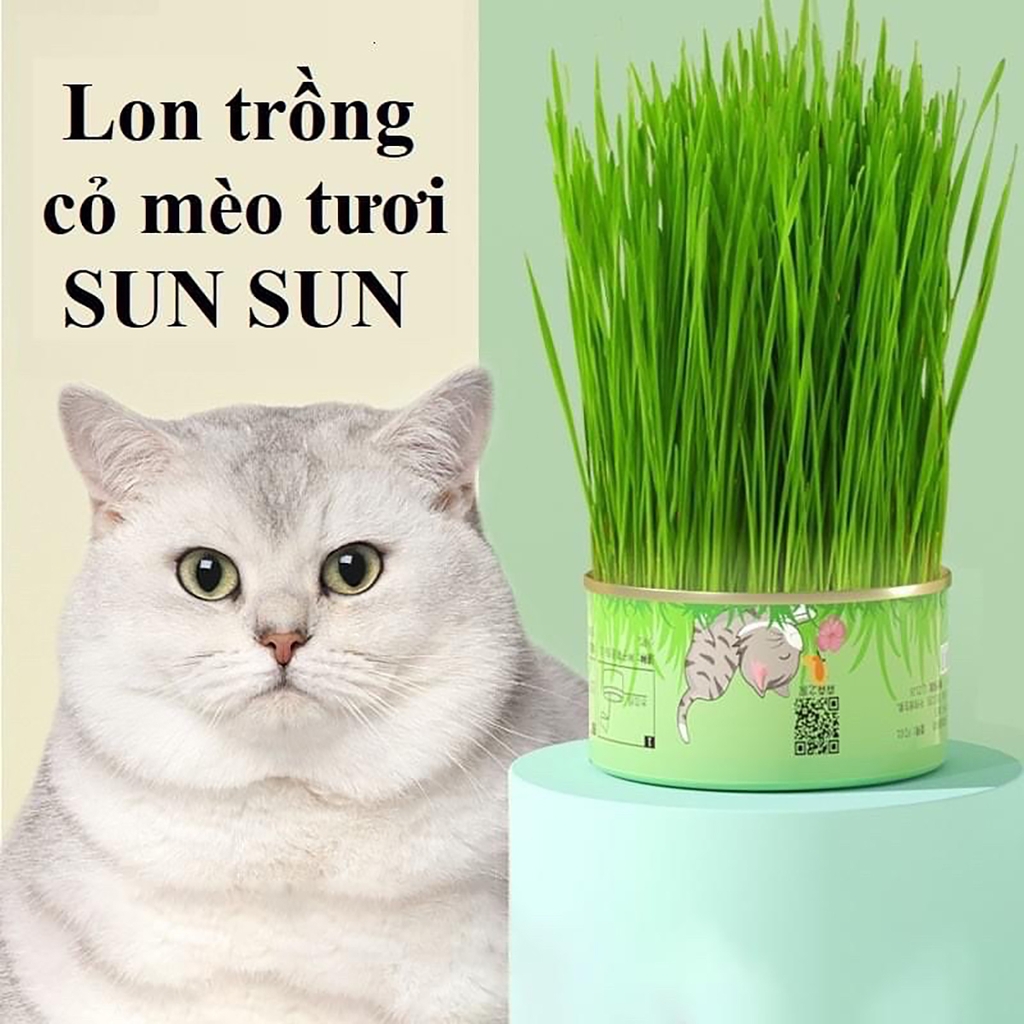 Lon trồng cỏ mèo tươi SUNSUN tiêu búi lông cho mèo Cutepets - Pet shop ...