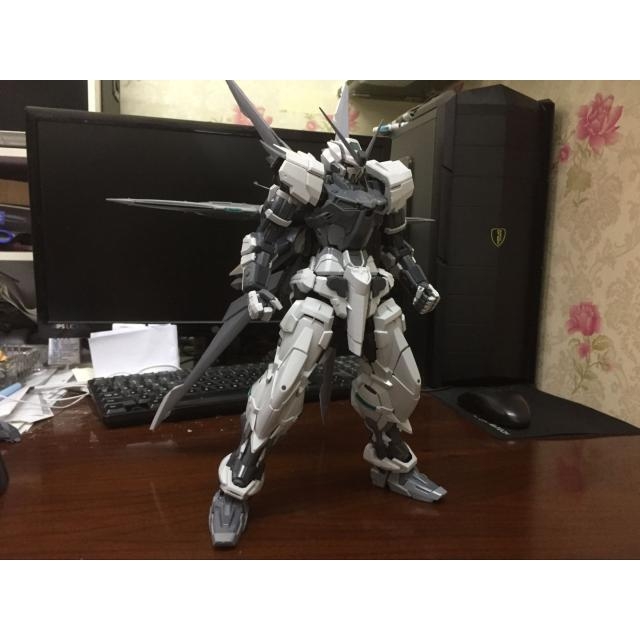 PG 1/60 NILSON WORK ASTRAY RED FRAME VER 2.0 Gundam