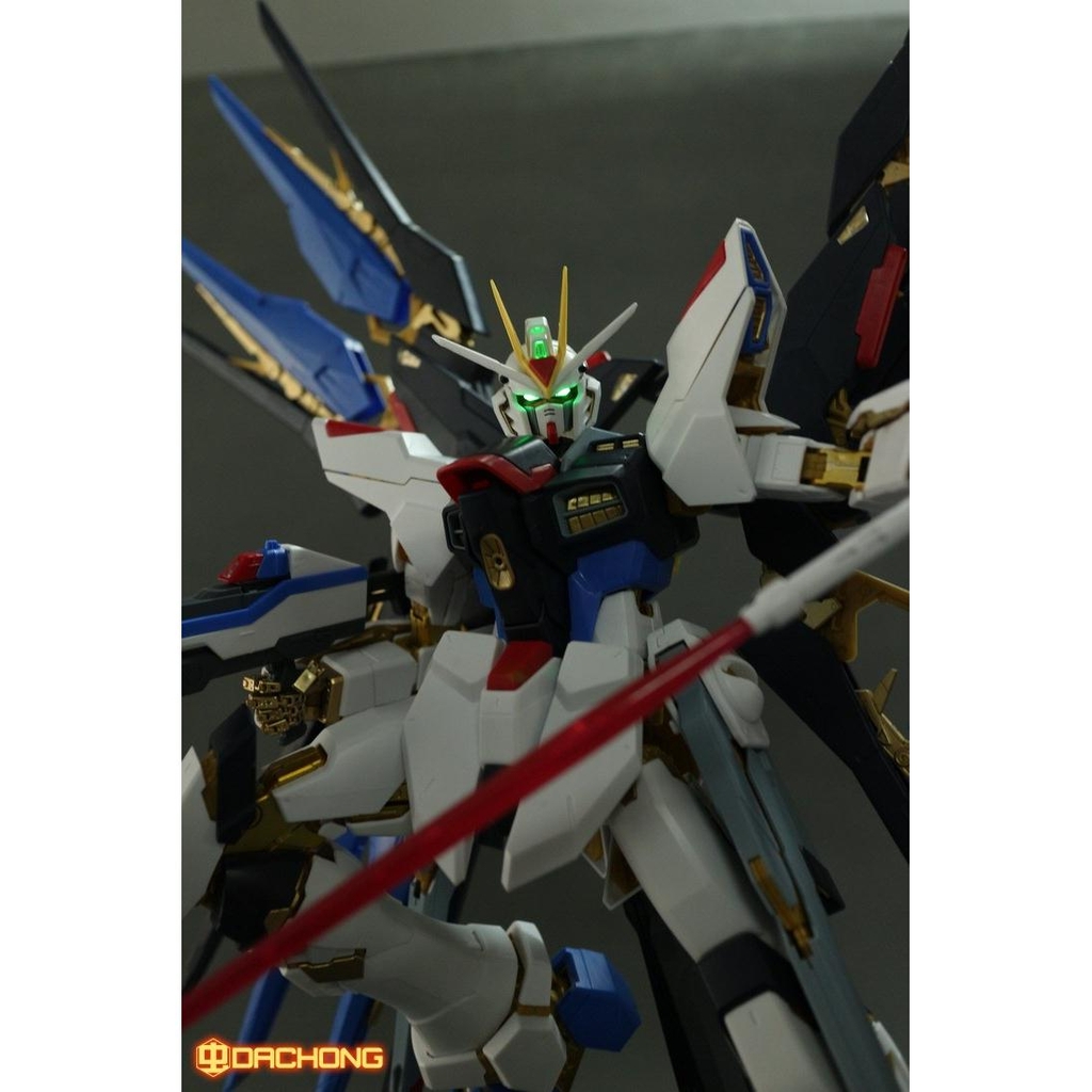 PG Strike Freedom Daban Gundam