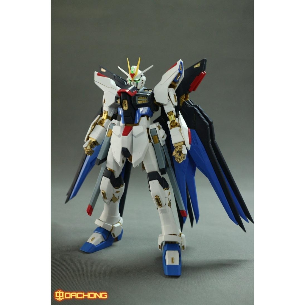 PG Strike Freedom Daban Gundam