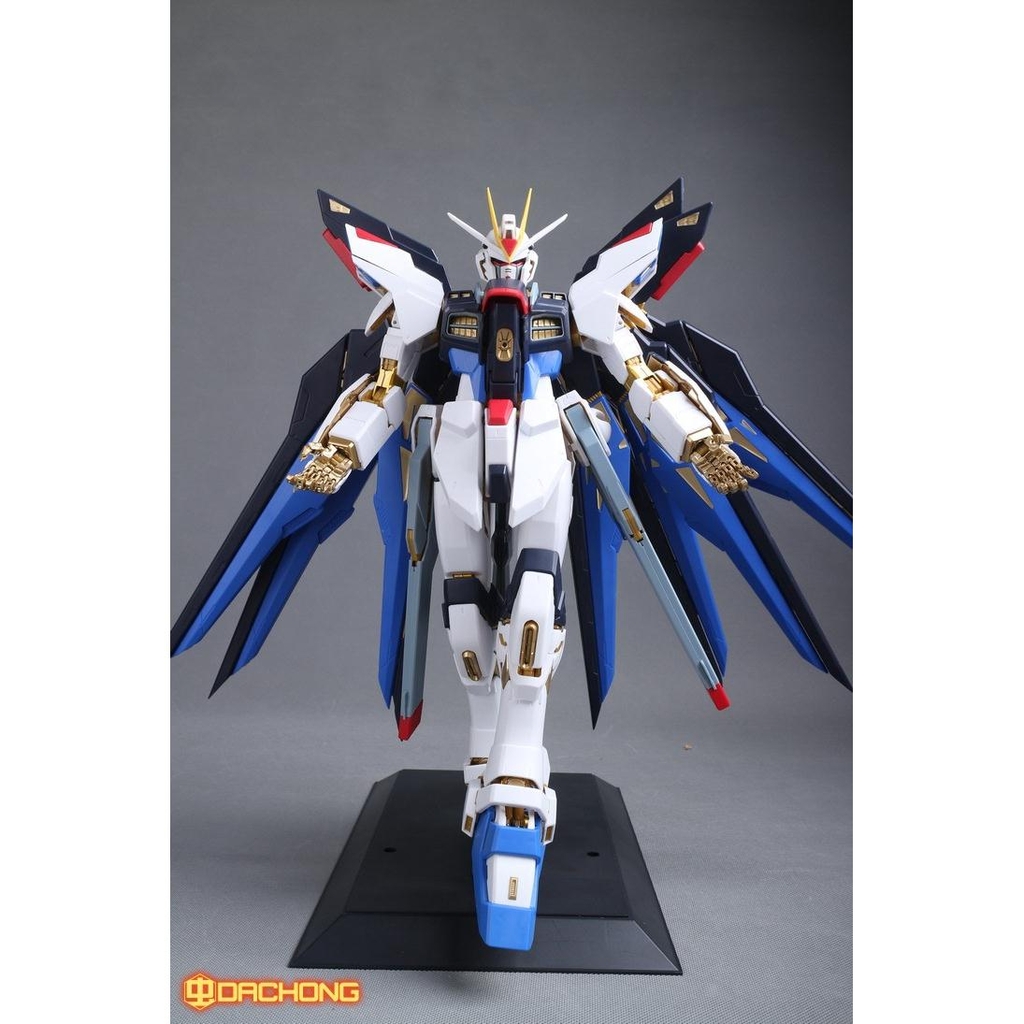 PG Strike Freedom Daban Gundam