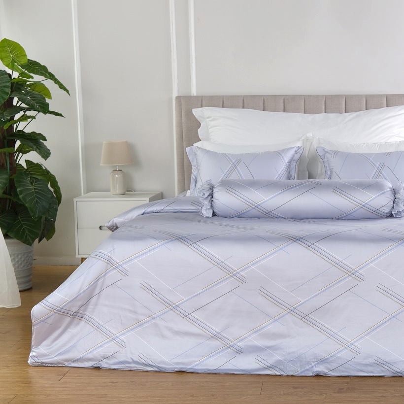 Bộ ga chun Velina V16