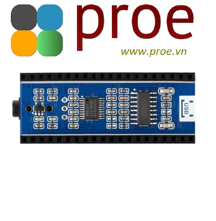 Audio Expansion Module for Raspberry Pi Pico, Concurrently Headphone / Speaker Output | Điện tử ProE