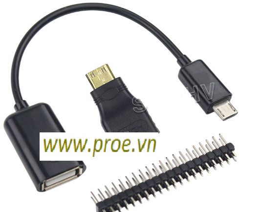 Mini HDMI, USB Cable, Header RPi Zero W | Điện tử ProE